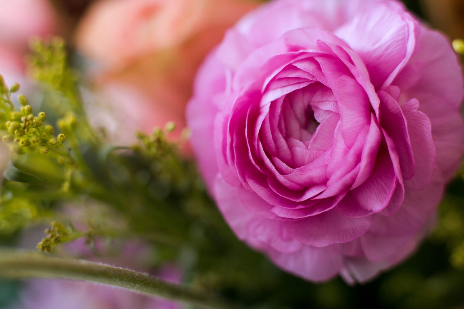 Kansas City Wedding Photographer: The “G” Wedding » Heather Neal ...
